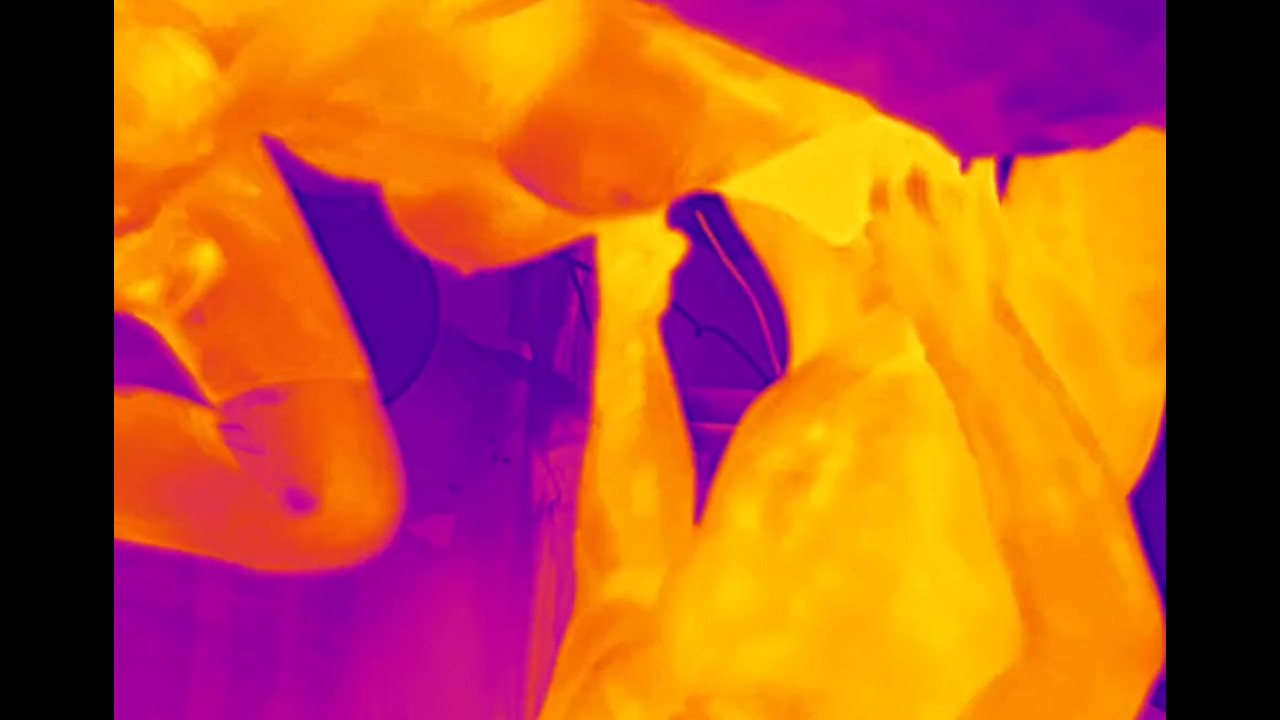 Thermal Camera Porn Porn Videos Tube8